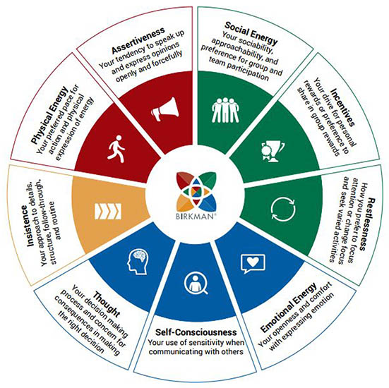 Certificación Birkman - Utopia Model