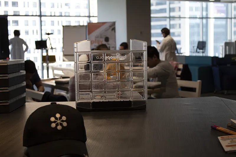 Pro.Play - Utopia Model